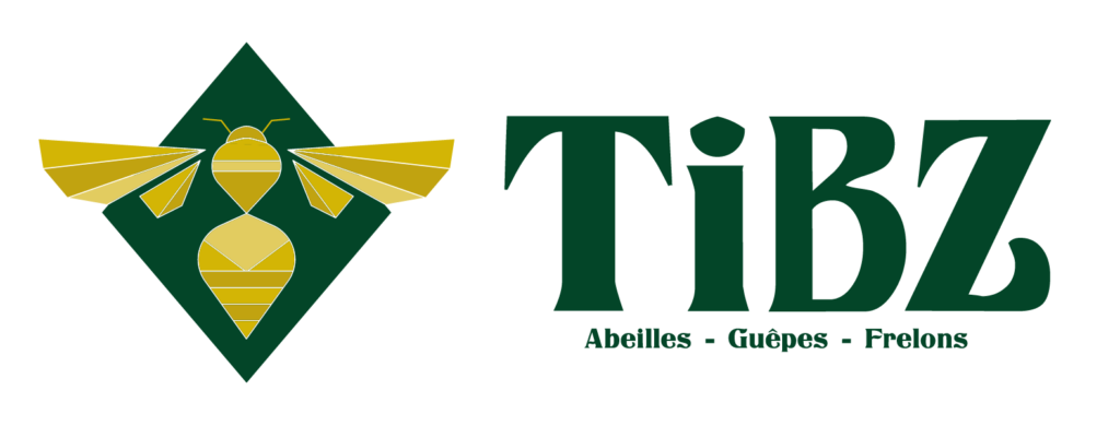 Accueil - TIBZ